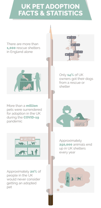 19 UK Pet Adoption Statistics & Facts (Updated in 2025) | Hepper Pet ...