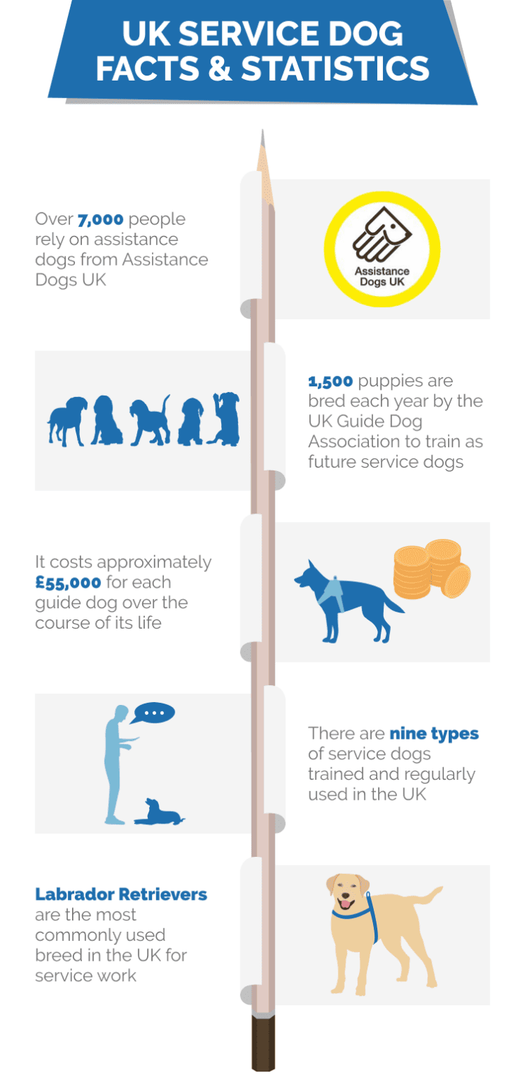 13 Incredible UK Service Dog Statistics & Facts: Updated in 2025 ...