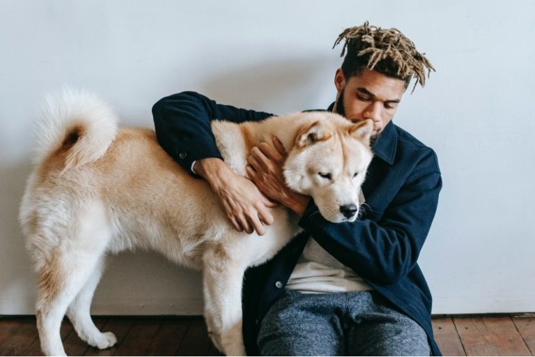 How Much Does It Cost to Surrender a Dog? (Updated In 2026) | Hepper ...