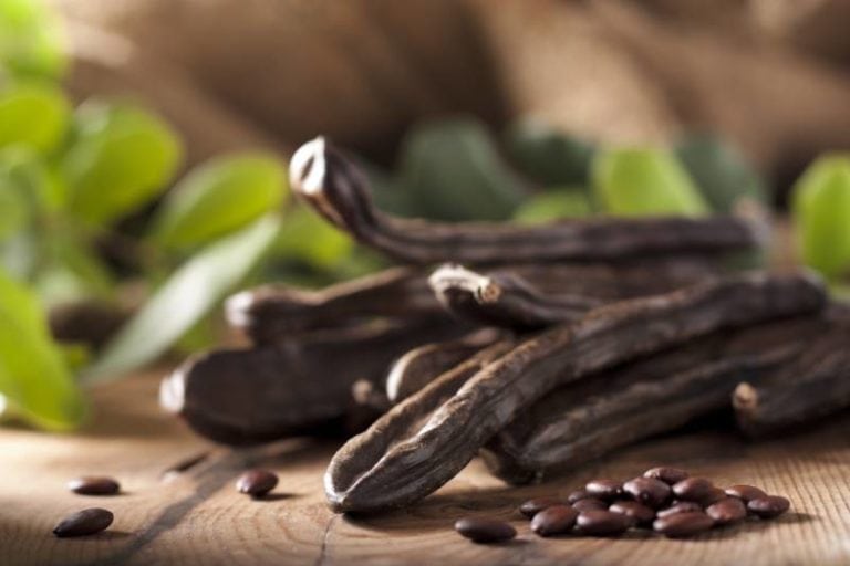 Can Dogs Eat Carob? How Healthy Is It? | Hepper Pet Resources