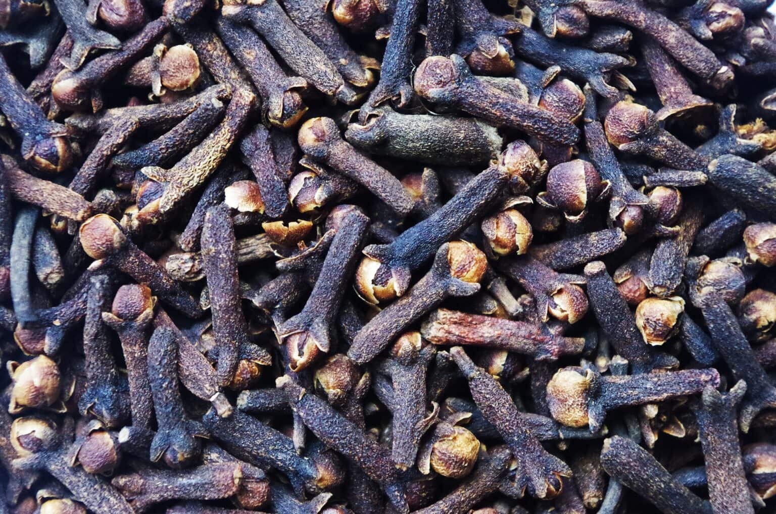 Can Dogs Eat Cloves? Vet-Reviewed Safety Facts | Hepper Pet Resources