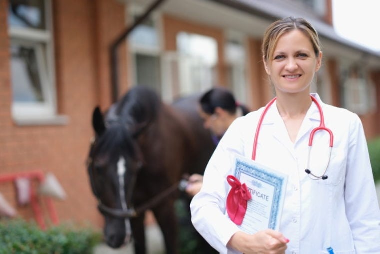 12 Facts & Statistics on Becoming a Veterinarian in Canada: Updated in ...