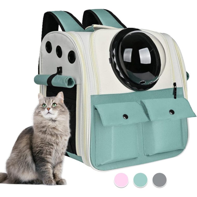 10 Best Bubble Backpacks for Cats - 2026 Reviews & Top Picks | Hepper ...