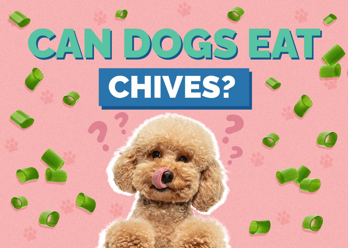 Can Dogs Eat Chives? Vet Reviewed Risks Explained | Hepper Pet Resources