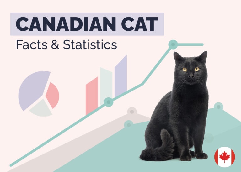 15 Shocking Canadian Animal Homelessness Statistics: 2025 Update ...