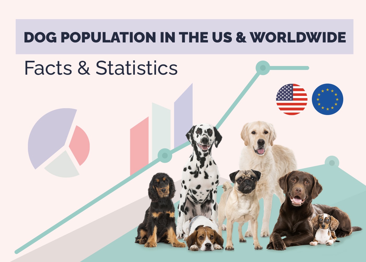 How Many Dogs Are There in the US & Worldwide? 2026 Updated Statistics ...