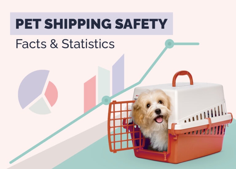 10 Shocking Pet Shipping Safety Statistics: Updated in 2026 | Hepper ...
