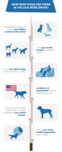 How Many Dogs Are There in the US & Worldwide? 2025 Updated Statistics ...