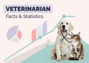 15 Incredible Veterinarian Statistics & Facts: 2025 Update | Hepper Pet ...
