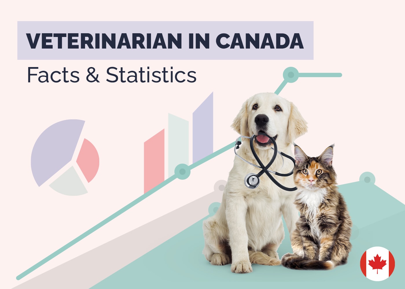 15 Incredible Veterinarian Statistics & Facts: 2025 Update | Hepper Pet ...