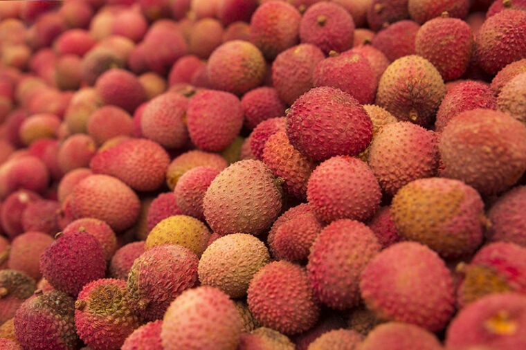 Can Dogs Eat Lychee? What The Science Says! | Hepper Pet Resources