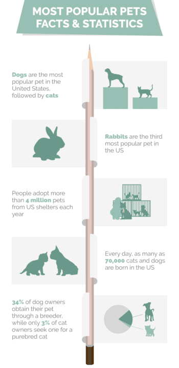 What Are the Most Popular Pets in 2025? 13 Interesting Statistics ...