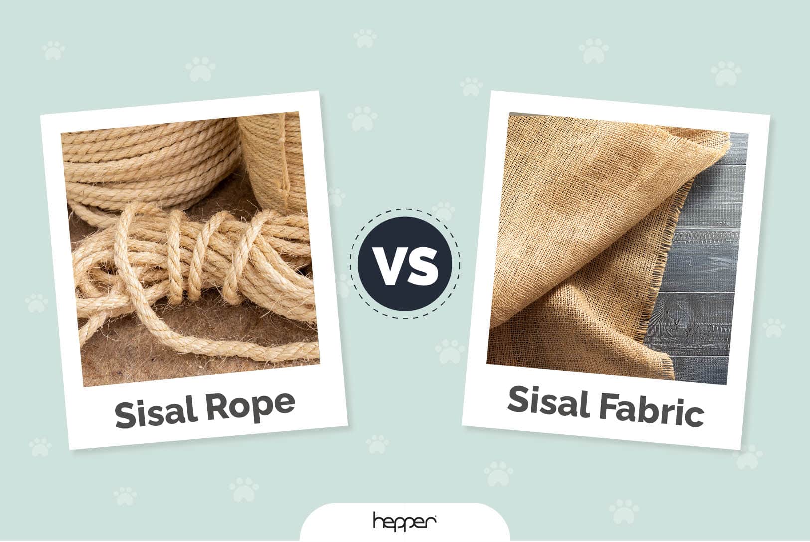Sisal Rope vs. Sisal Fabric for Cat Scratching Posts – Is There a ...