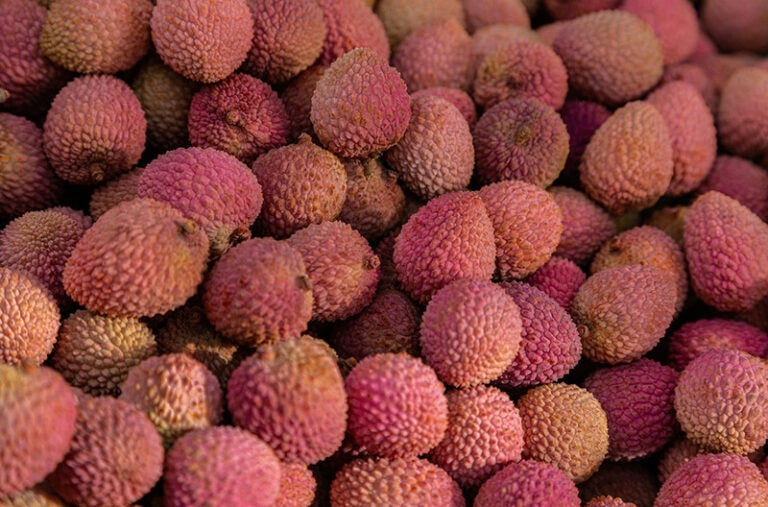 Can Dogs Eat Lychee? What The Science Says! | Hepper Pet Resources