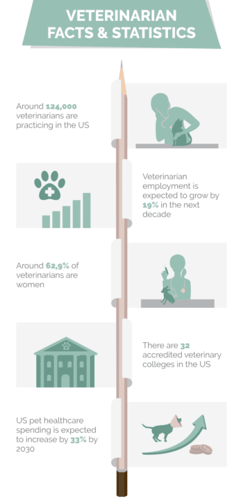 15 Incredible Veterinarian Statistics & Facts: 2025 Update | Hepper Pet ...