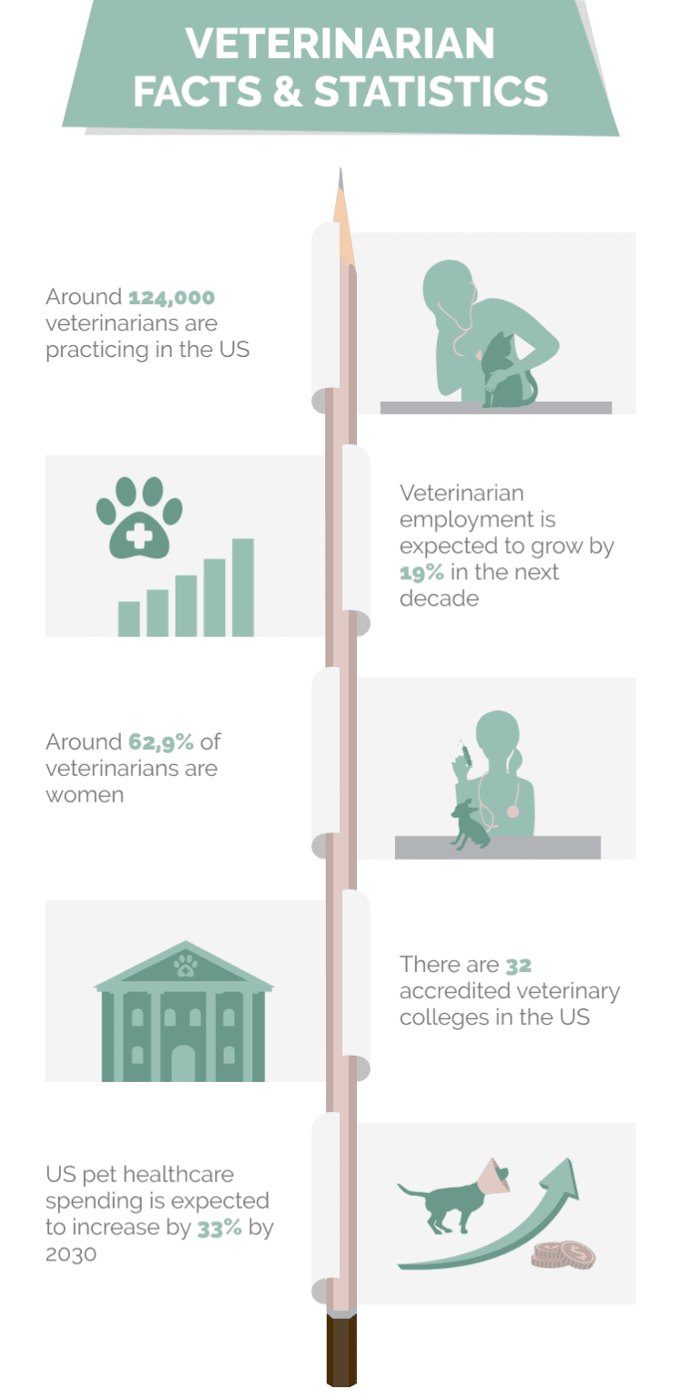 15 Incredible Veterinarian Statistics & Facts: 2025 Update | Hepper Pet ...