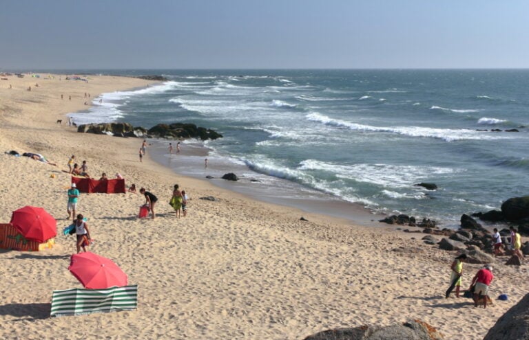 Is Miramar Beach Dog Friendly? Plus 6 Great Alternatives | Hepper Pet ...