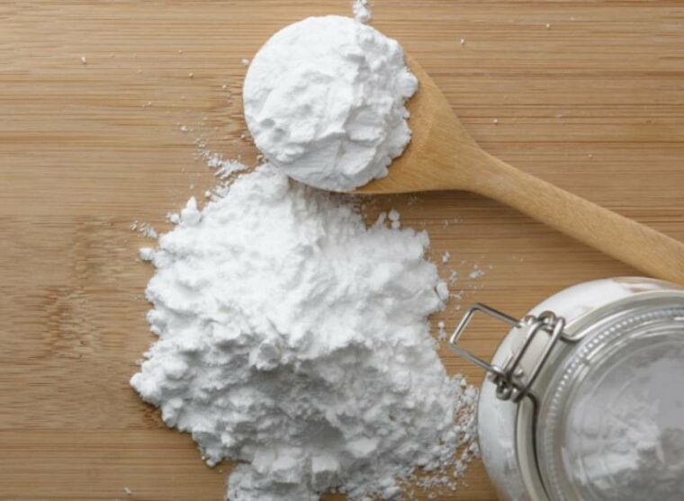 Can Dogs Eat Tapioca? Vet-Reviewed Benefits & Risks | Hepper Pet Resources