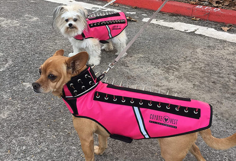 What Are Coyote Vests for Dogs? User Guide, Pros & Cons | Hepper Pet ...