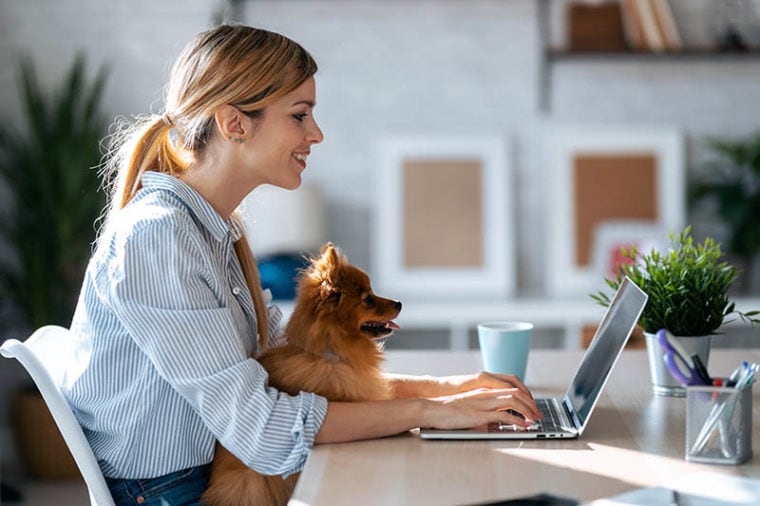15 Great Dog-Friendly Companies to Work for in 2025 - Reviews & Top ...