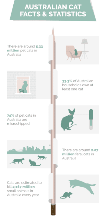 20 Incredible Australian Cat Statistics & Facts: Updated in 2025 ...