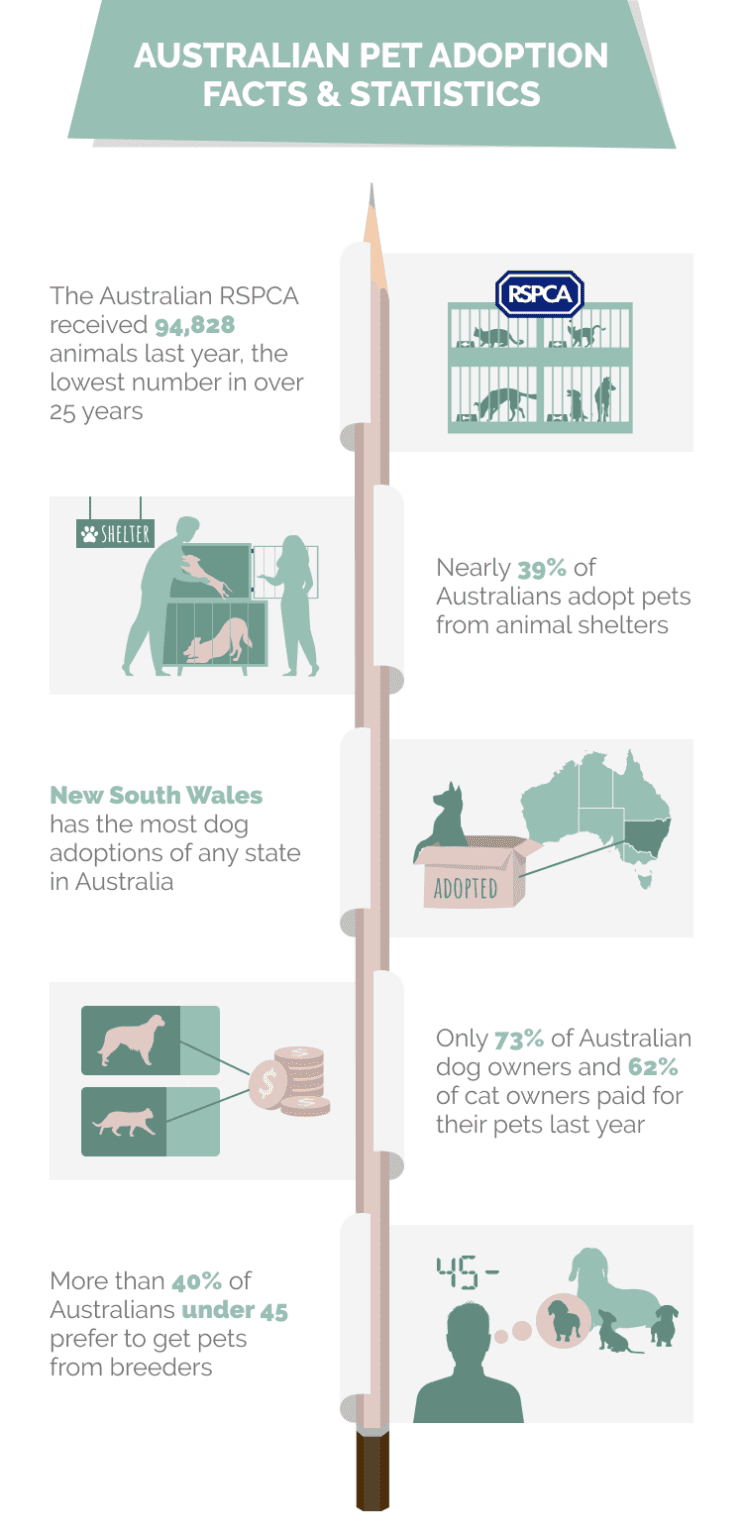 11 Surprising Australian Pet Adoption Statistics & Facts (Updated in ...