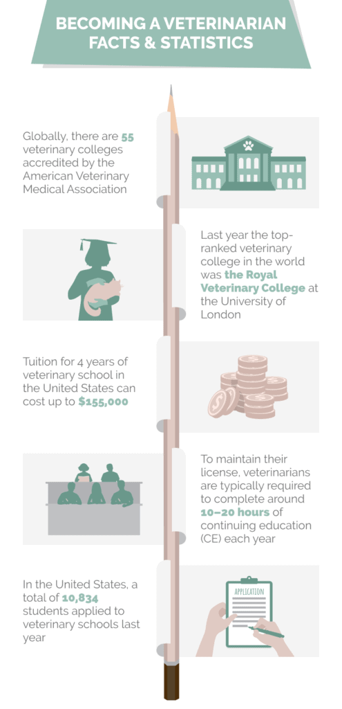 13 Facts & Statistics on Becoming a Veterinarian: 2026 Vet Answer ...