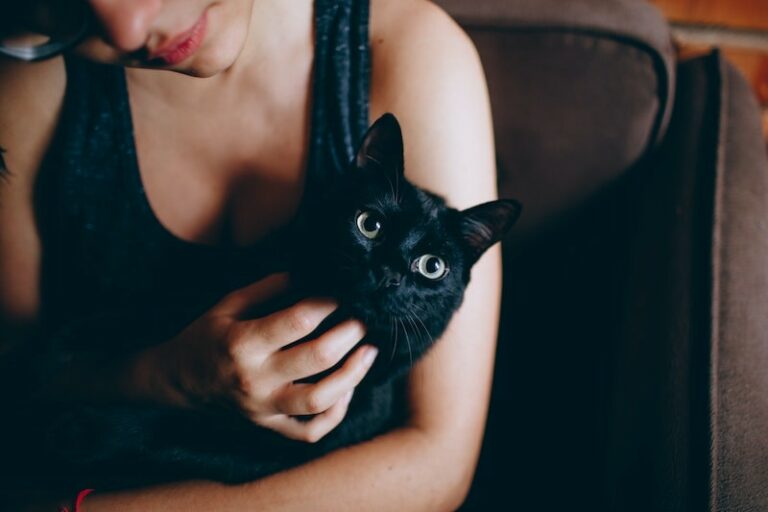 Why Do Cats Like Chin Scratches? 5 Likely Reasons | Hepper Pet Resources