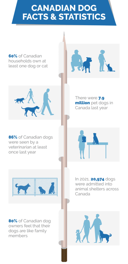 15 Incredible Canadian Dog Statistics & Facts: 2026 Update | Hepper Pet ...