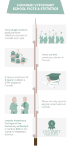 How Much is Veterinary School in Canada? 14 Surprising Statistics: 2025 ...