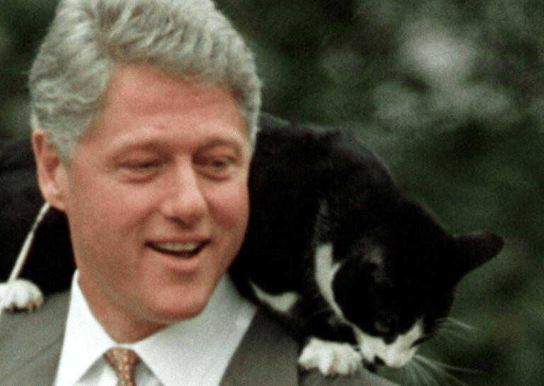 History of Cats in the White House (1861-2025) | Hepper Pet Resources