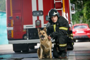 National Fire Pup Day 2025: When Is It and How Is It Celebrated ...