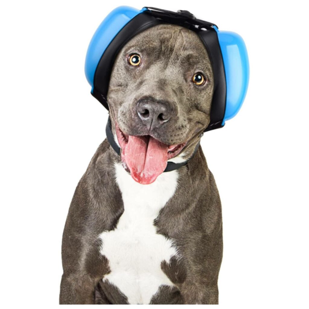 7 Best Dog Ear Muffs to Protect Your Pet: 2026 Reviews & Top Picks ...