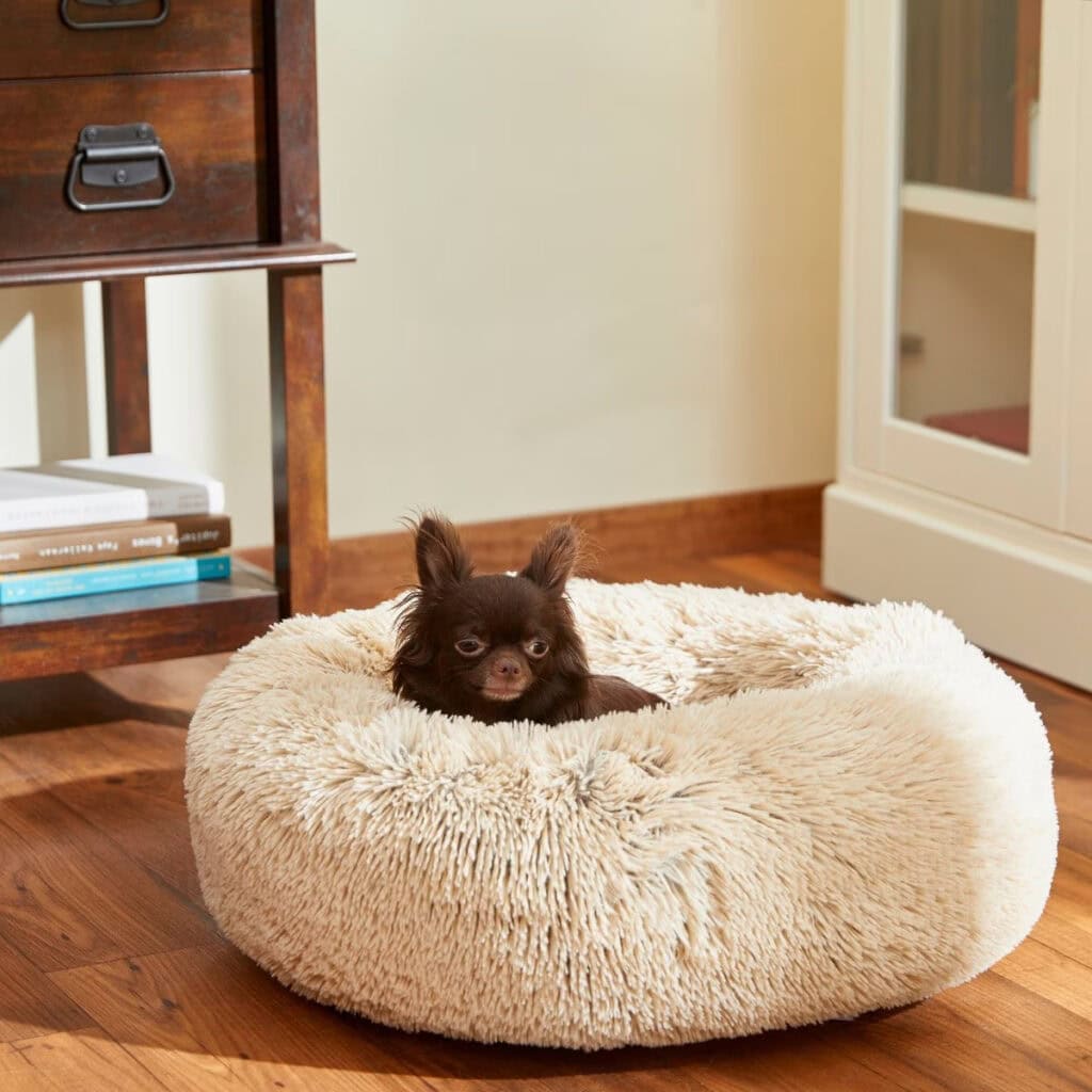 10 Best Modern Dog Beds in 2026 - Reviews & Top Picks | Hepper Pet ...