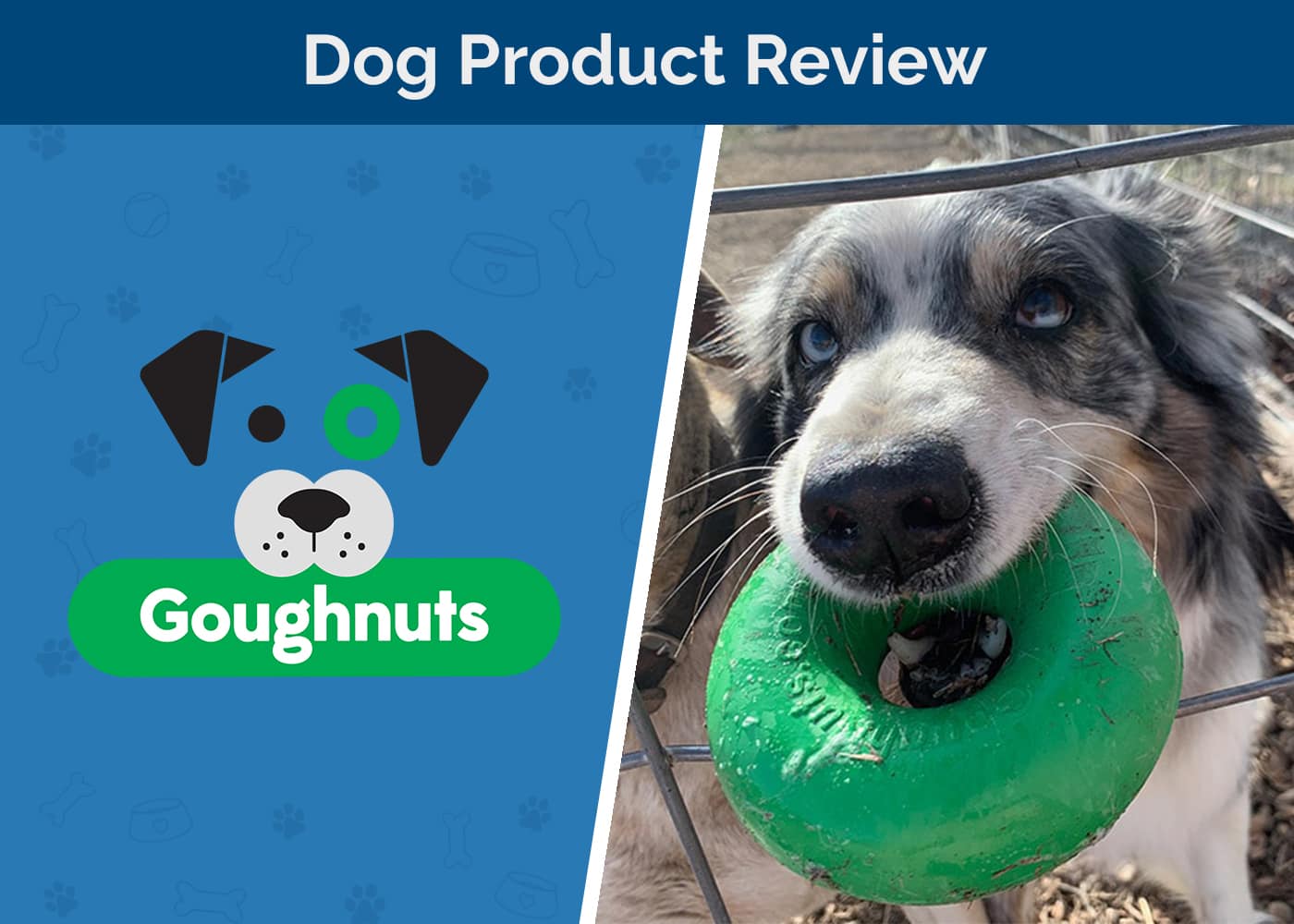 Goughnuts Dog Chew Toys Review 2025: Our Expert’s Opinion | Hepper Pet Resources