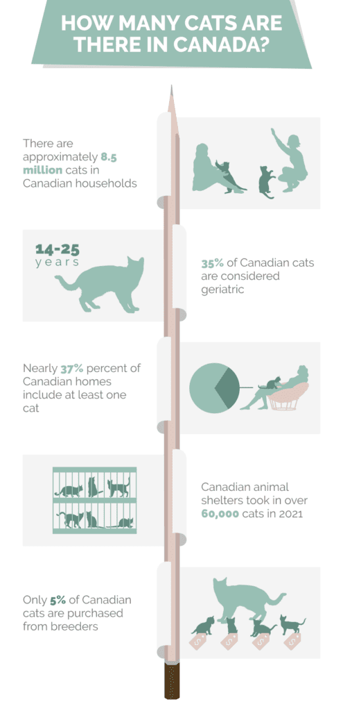 How Many Cats Are There in Canada? 11 Interesting Statistics: 2026 ...