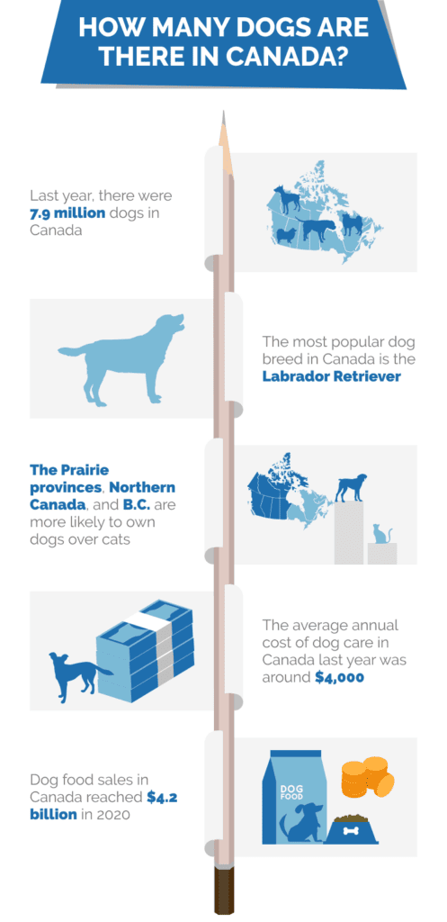 How Many Dogs Are There in Canada? 18 Statistics to Know in 2026 ...
