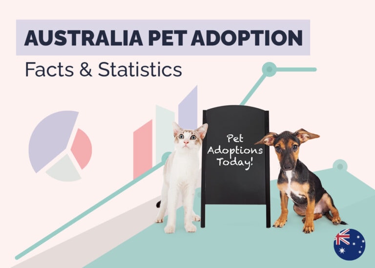16 Incredible Australian Pet Ownership Statistics & Facts (2026 Update ...