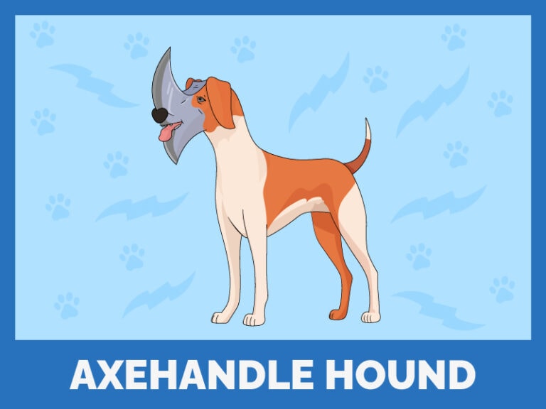 10 Fascinating Mythical Dogs (With Illustrations) | Hepper Pet Resources