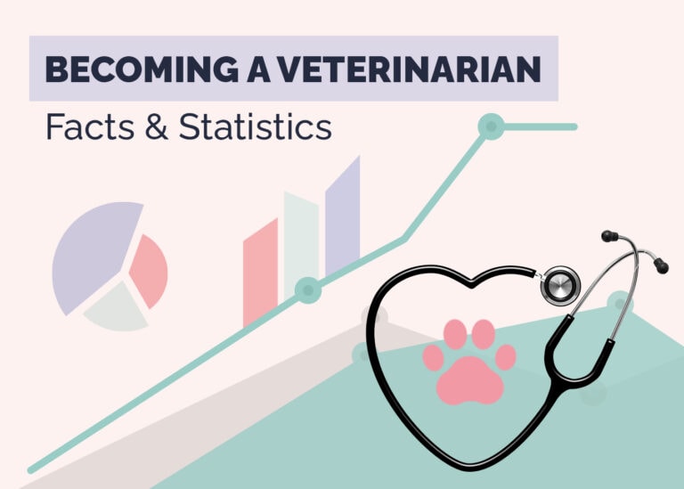 15 Incredible Veterinarian Statistics & Facts: 2026 Update | Hepper Pet ...