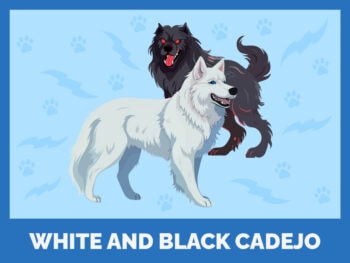 10 Fascinating Mythical Dogs (With Illustrations) | Hepper Pet Resources