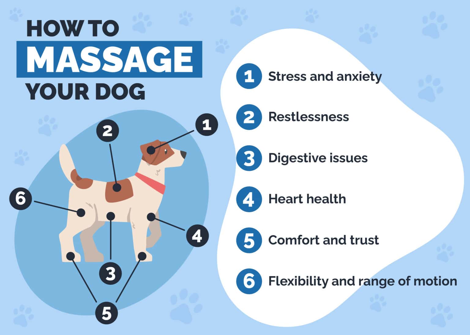 How to Massage a Dog: 10 Expert Tips to Follow | Hepper Pet Resources