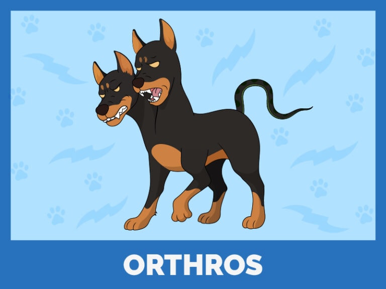 10 Fascinating Mythical Dogs (With Illustrations) | Hepper Pet Resources