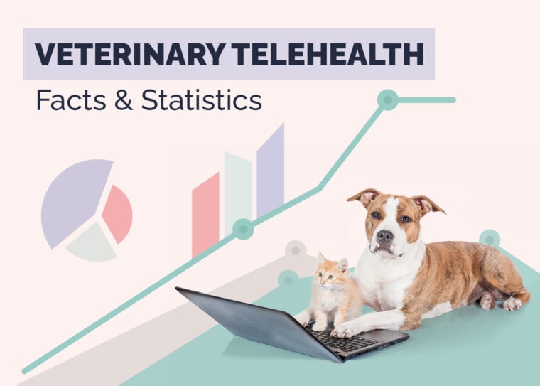 12 Veterinary Telehealth Statistics & Facts (Updated in 2026) | Hepper ...