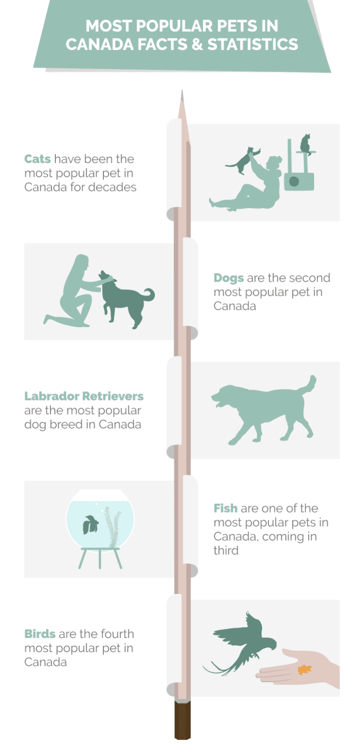 What Are the Most Popular Pets in Canada in 2026? 10 Statistics & Facts ...