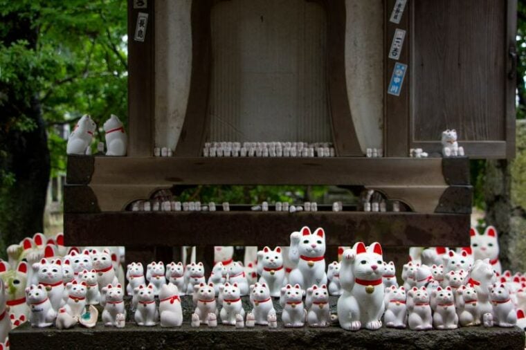 Japanese Waving Lucky Cat: The History Behind Maneki-Neko | Hepper Pet ...