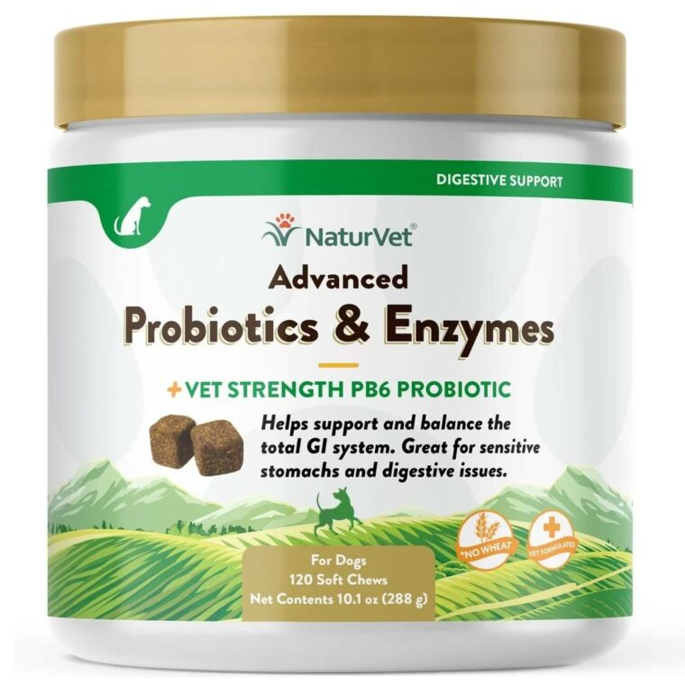 8 Best Probiotics for Dogs - 2026 Reviews & Top Picks | Hepper Pet ...