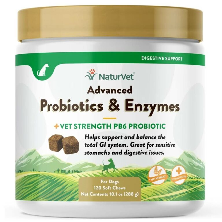 8 Best Probiotics for Dogs - 2025 Reviews & Top Picks | Hepper Pet ...