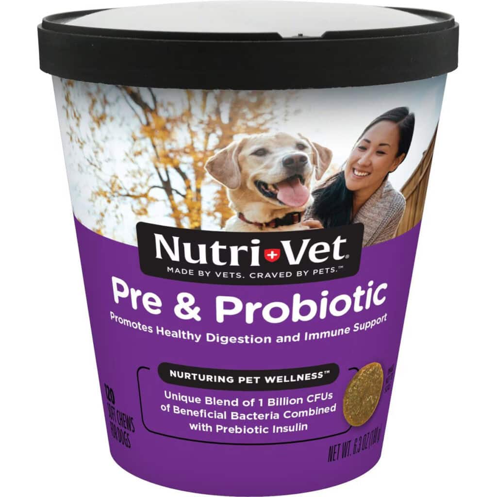 8 Best Probiotics for Dogs - 2026 Reviews & Top Picks | Hepper Pet ...