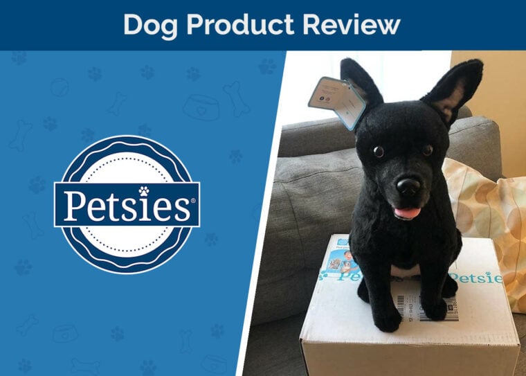 Petsies Custom Pet Plushies Review 2026: An Expert Guide | Hepper Pet ...
